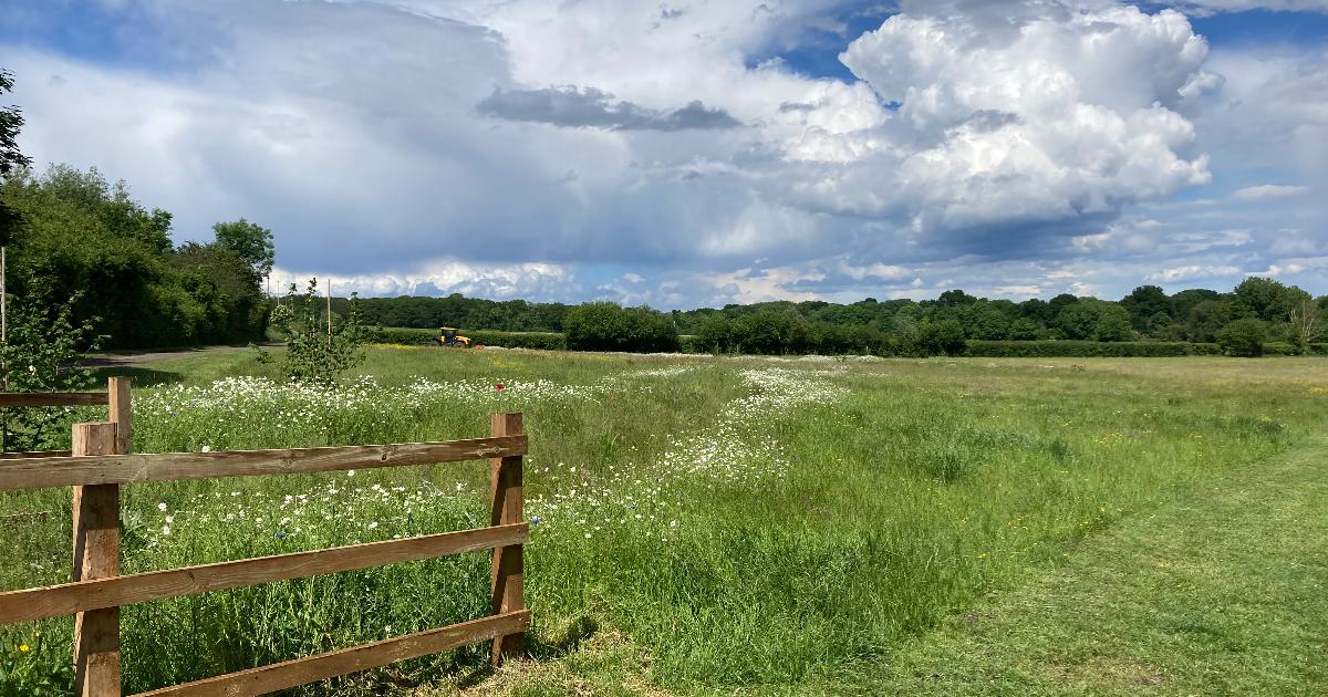 Hillingdon House Farm - Discover Hillingdon