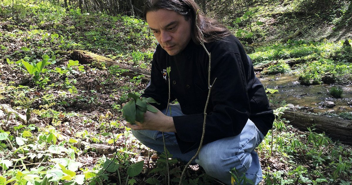 Foraging Tour - Discover Hillingdon