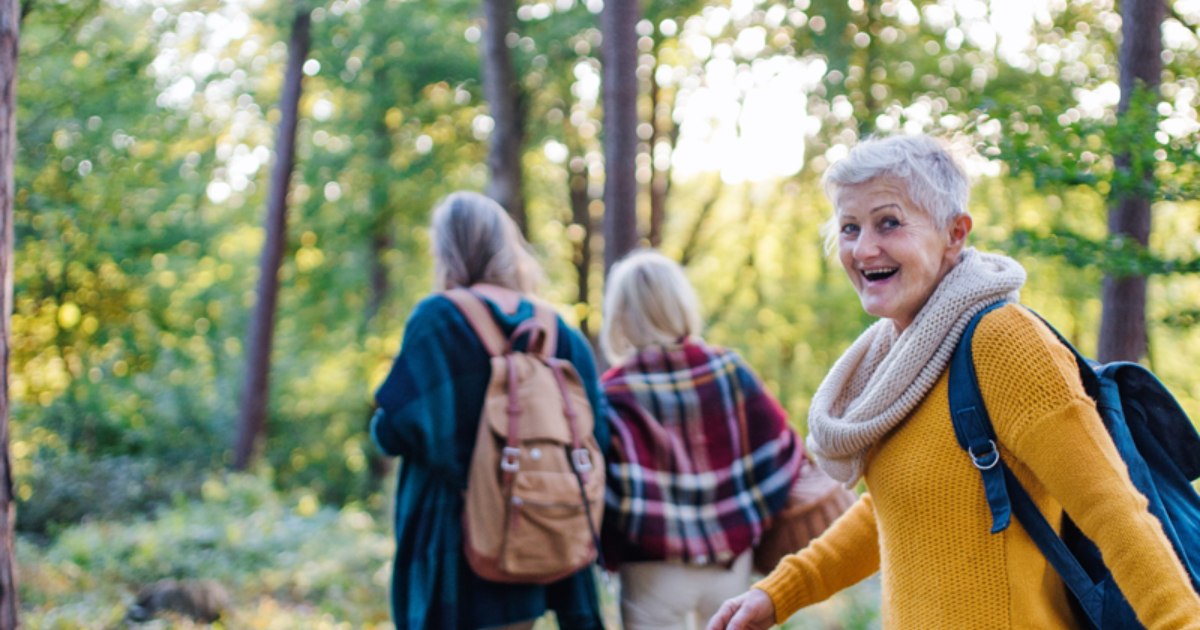 Nature Walk in the Woods - Discover Hillingdon