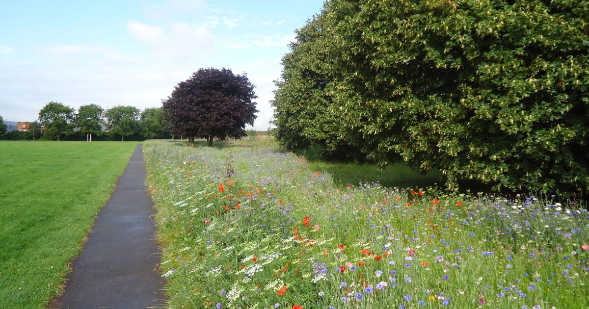 Sipson Recreation Ground - Discover Hillingdon