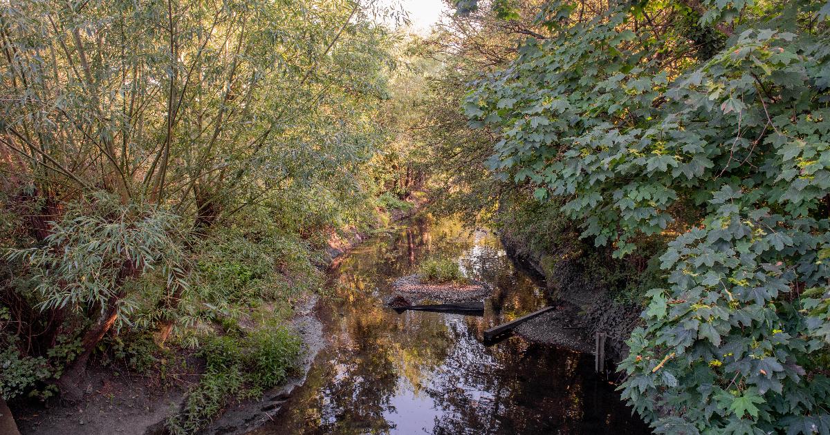 Led Walk: Yeading - Discover Hillingdon